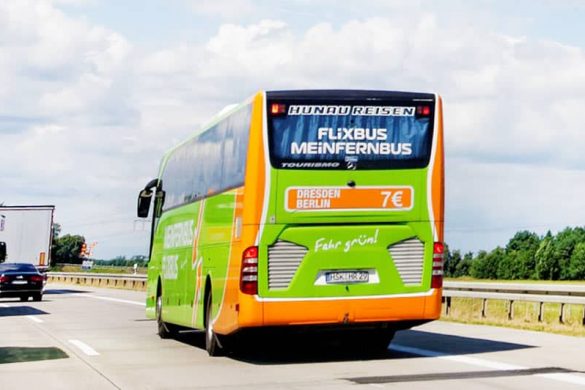 Viator: The Ultimate Platform for Booking Travel Tours, Activities, and ...